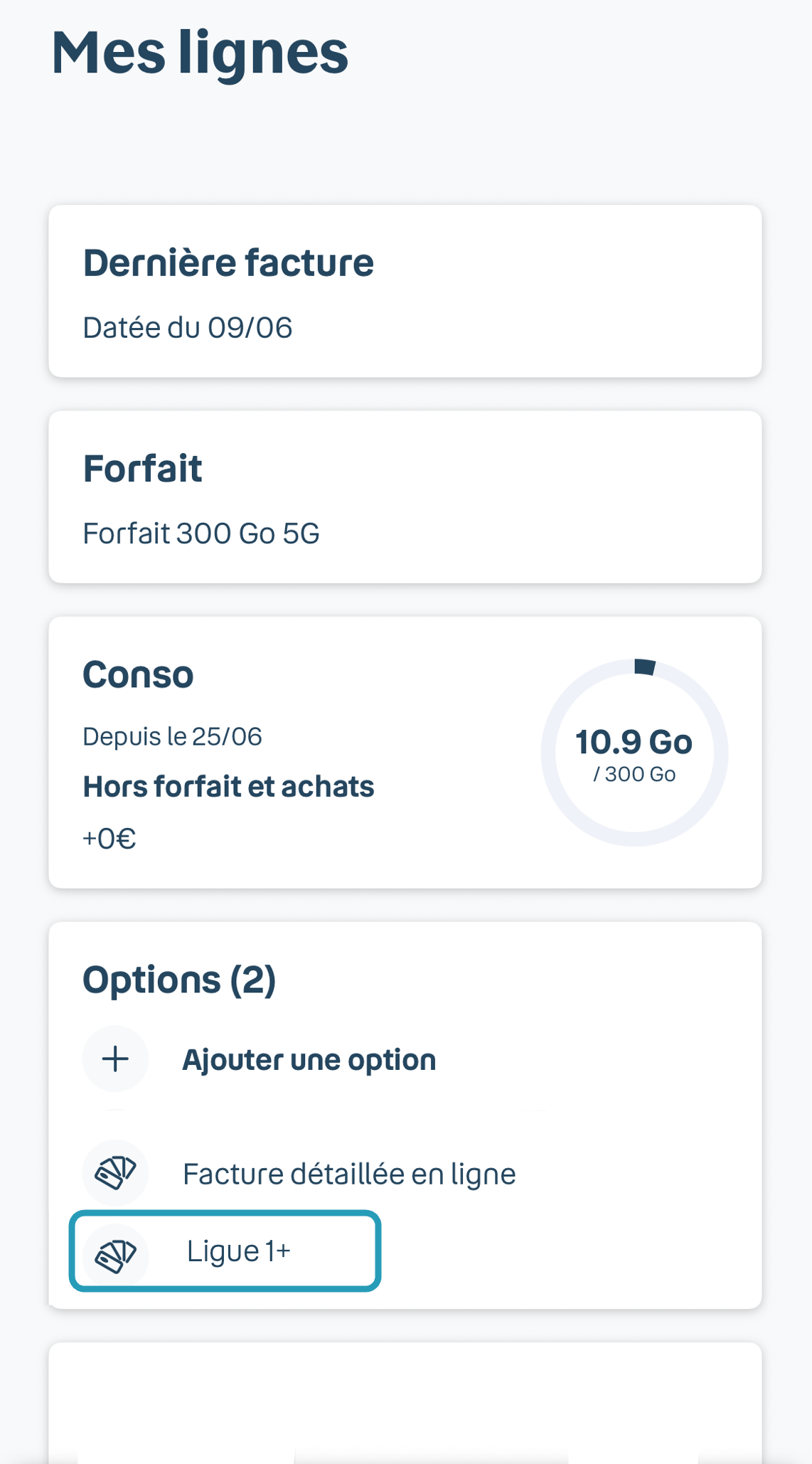 Ligue 1+ : championnat de France de football - Assistance Bouygues Telecom